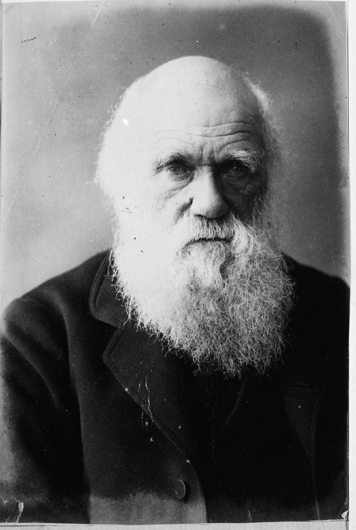 Charles Darwin - The National Archives