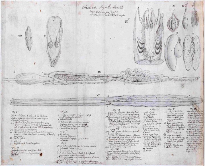 Tuesday 13 January 2026