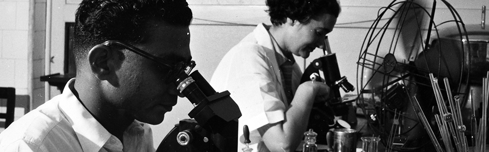 Research - Archives sector