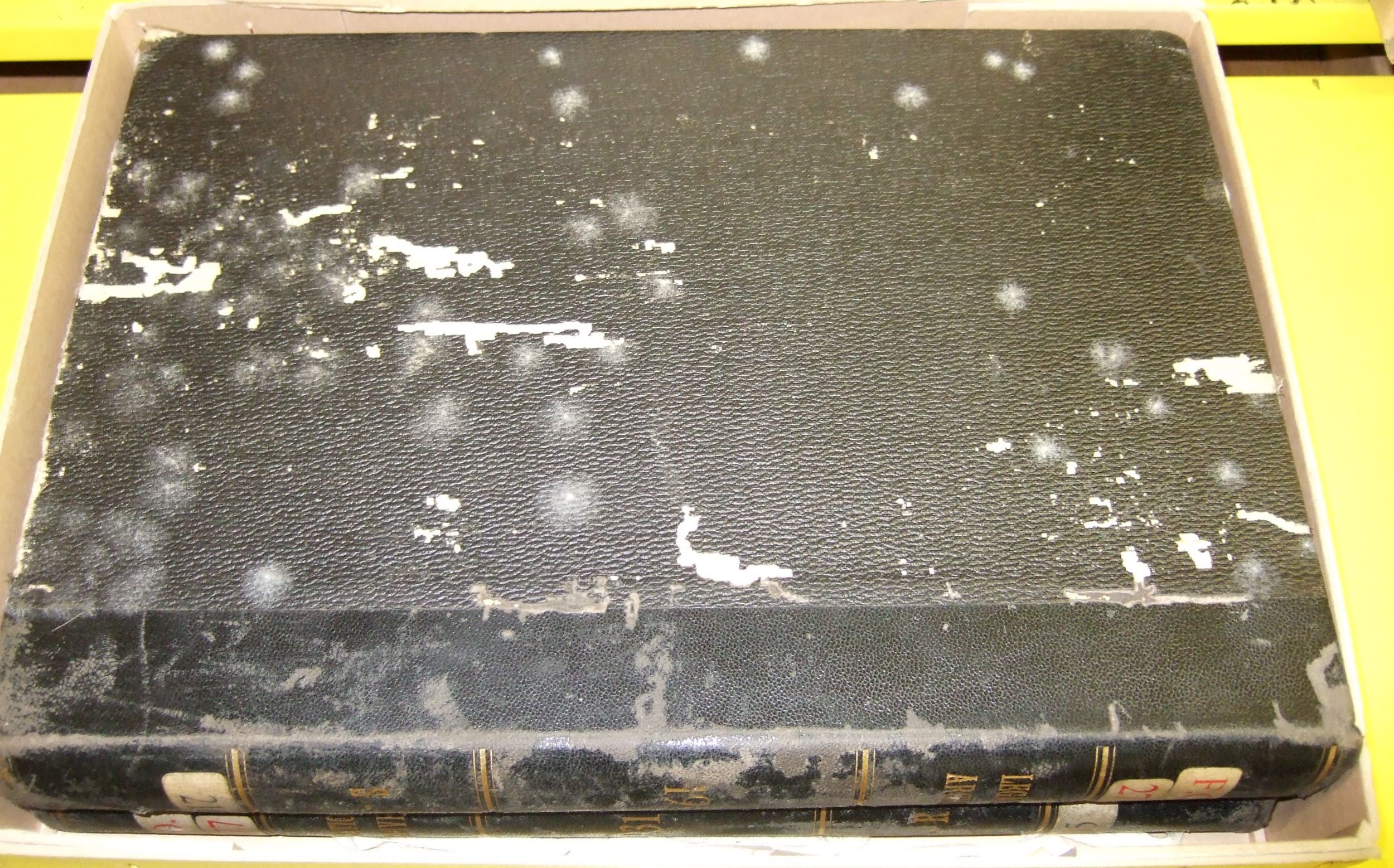 The science of mould - Archives sector
